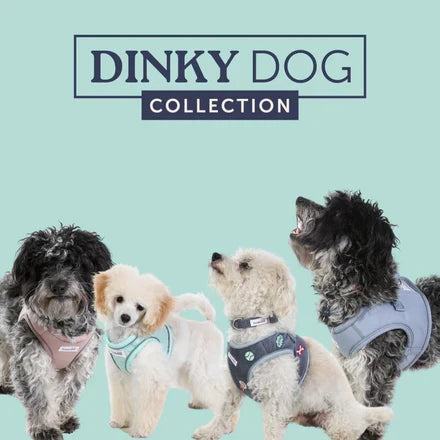 Doodlebone Dinky Dog Collection | Poochie Fashion